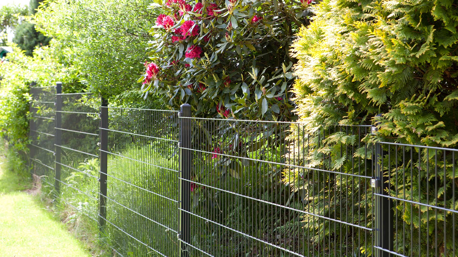 Double-Bar Fence PICO including Posts | 2 m | 1.0 m | anthracite ...
